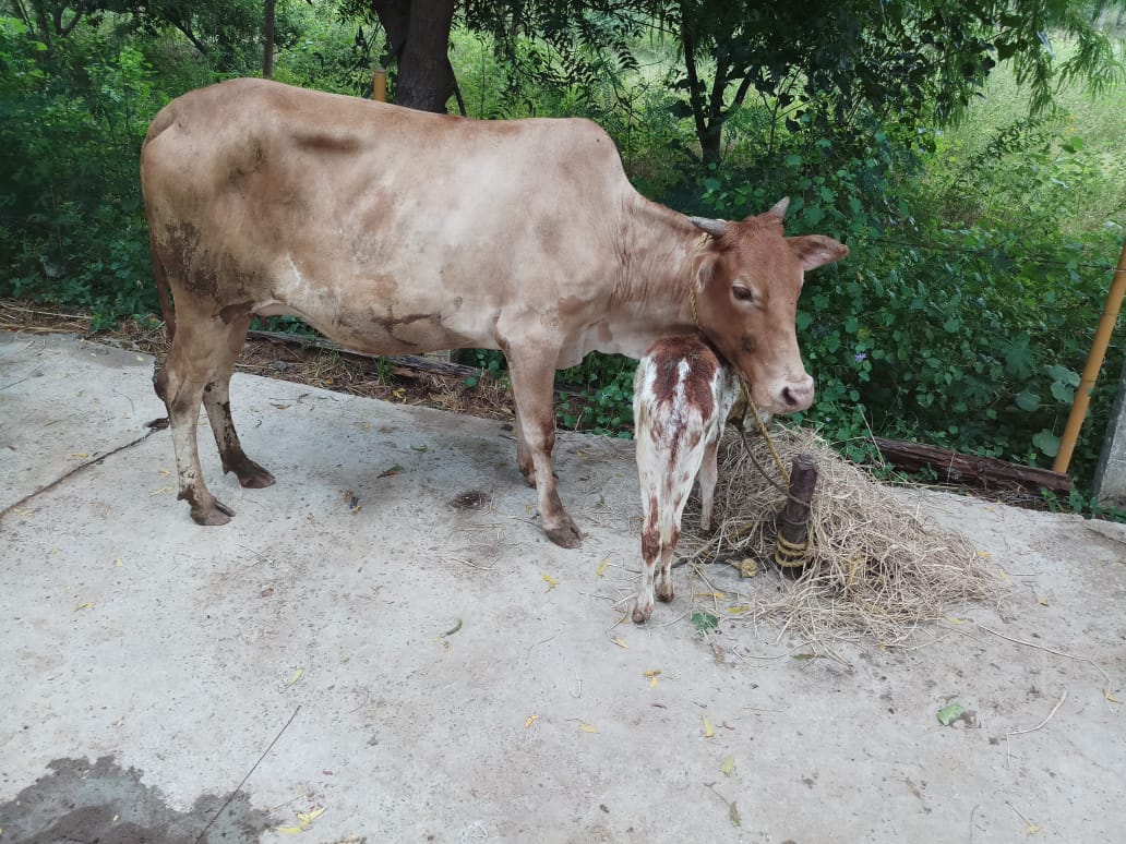 November 7, 2018 – Sage of Kanchi